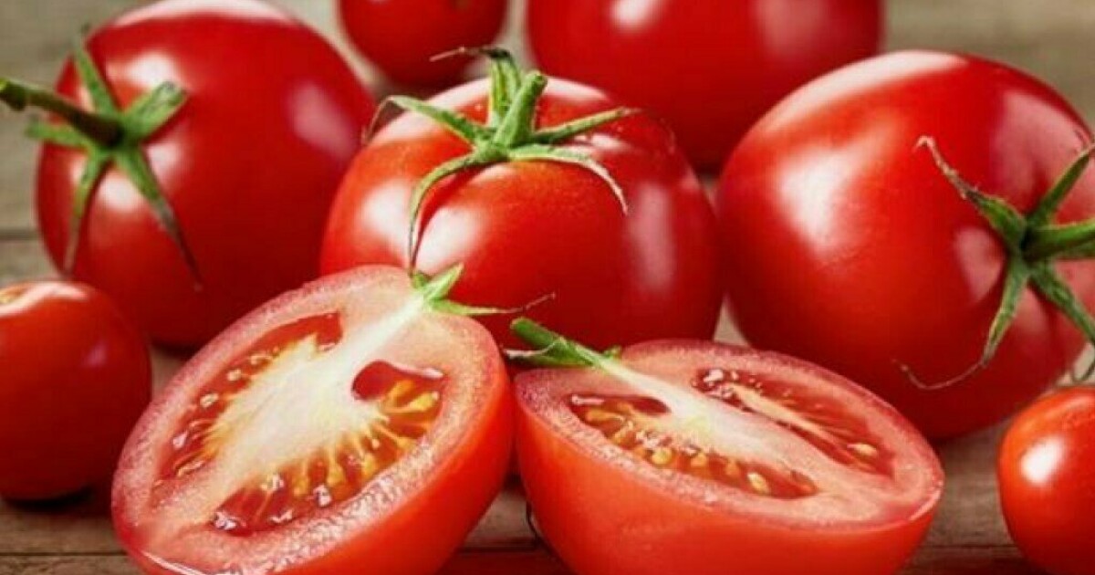 В Україні подешевшали турецькі томати — All Retail