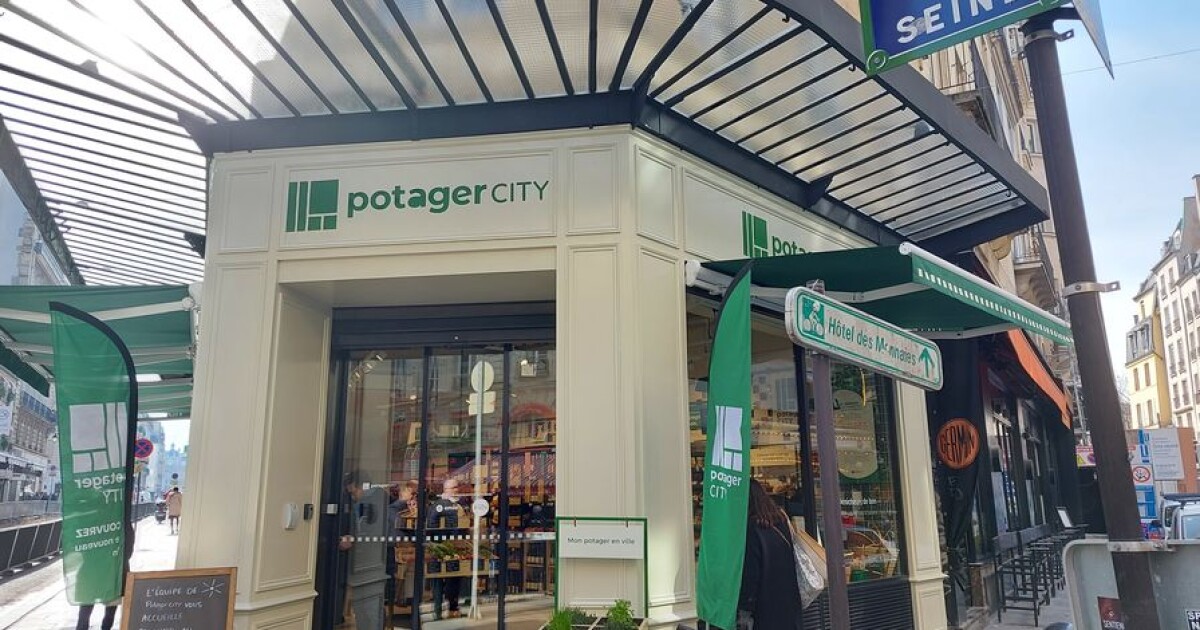 Potager City — Carrefour тестує нову концепцію магазинів proximity в ...