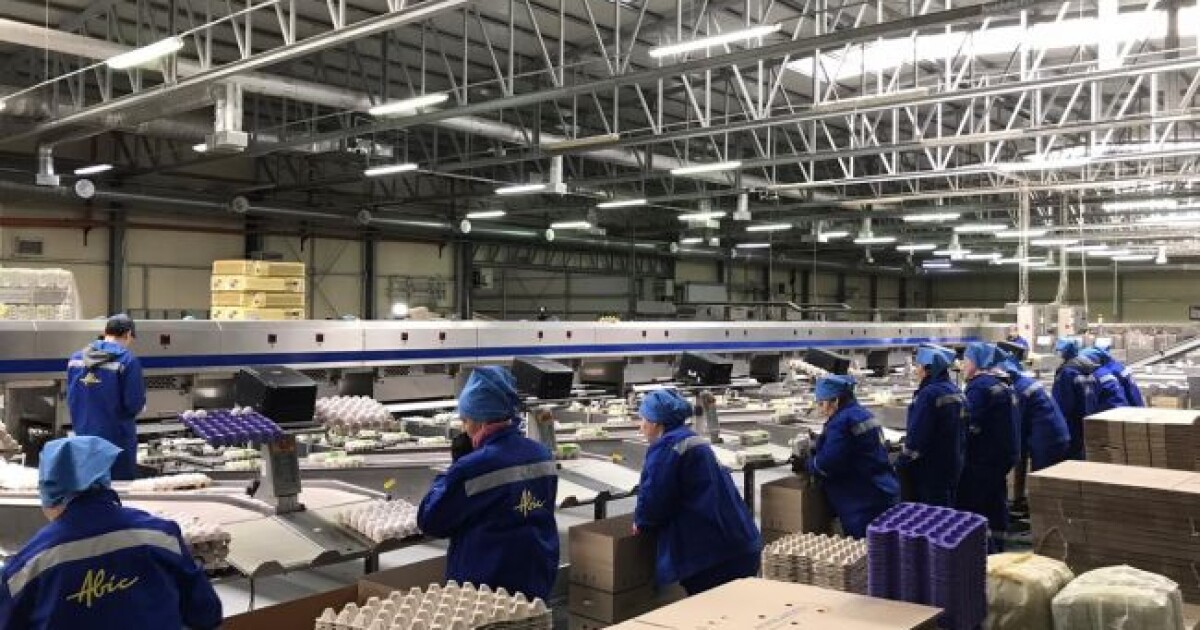 Агрохолдинг «Авангард» зазнає значних втрат виробничих потужностей ...